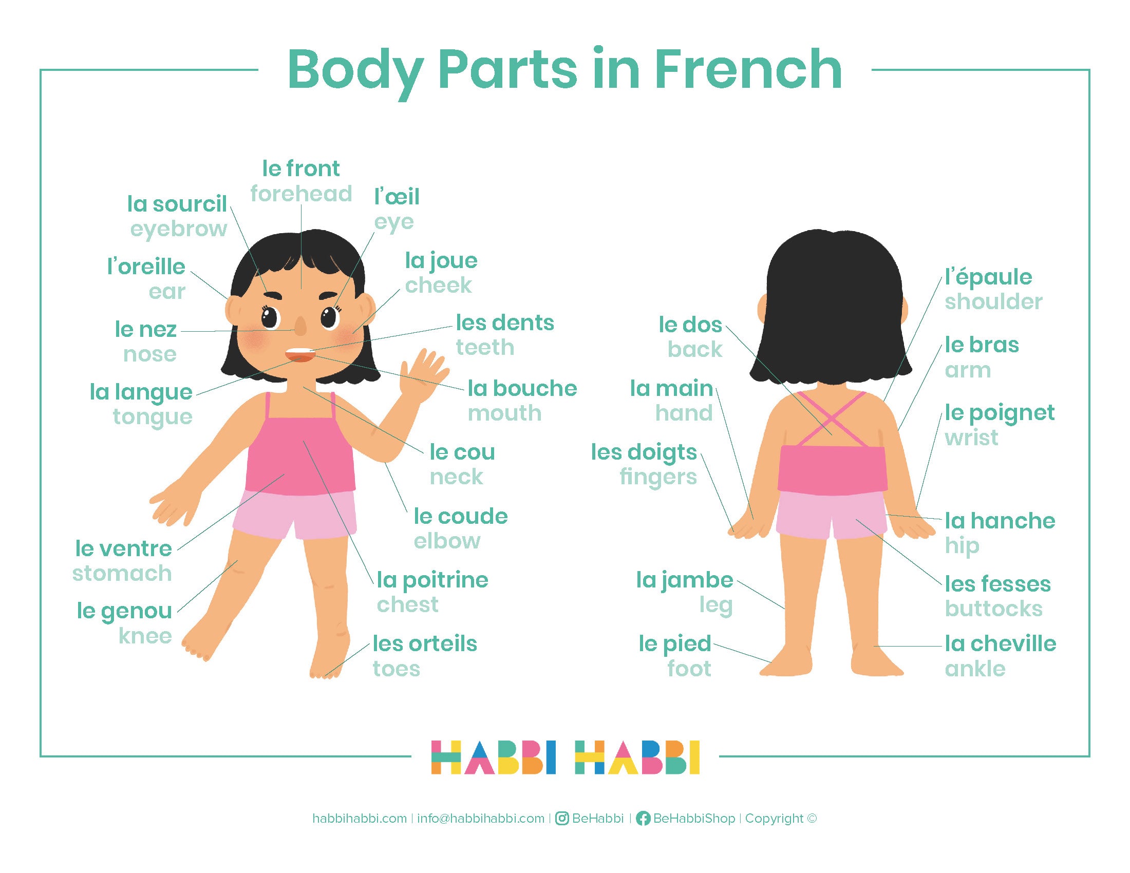 Body Parts In French Vocabulary Games Songs More Habbi Habbi Body Parts In French Vocabulary Games Songs More Habbi Habbi