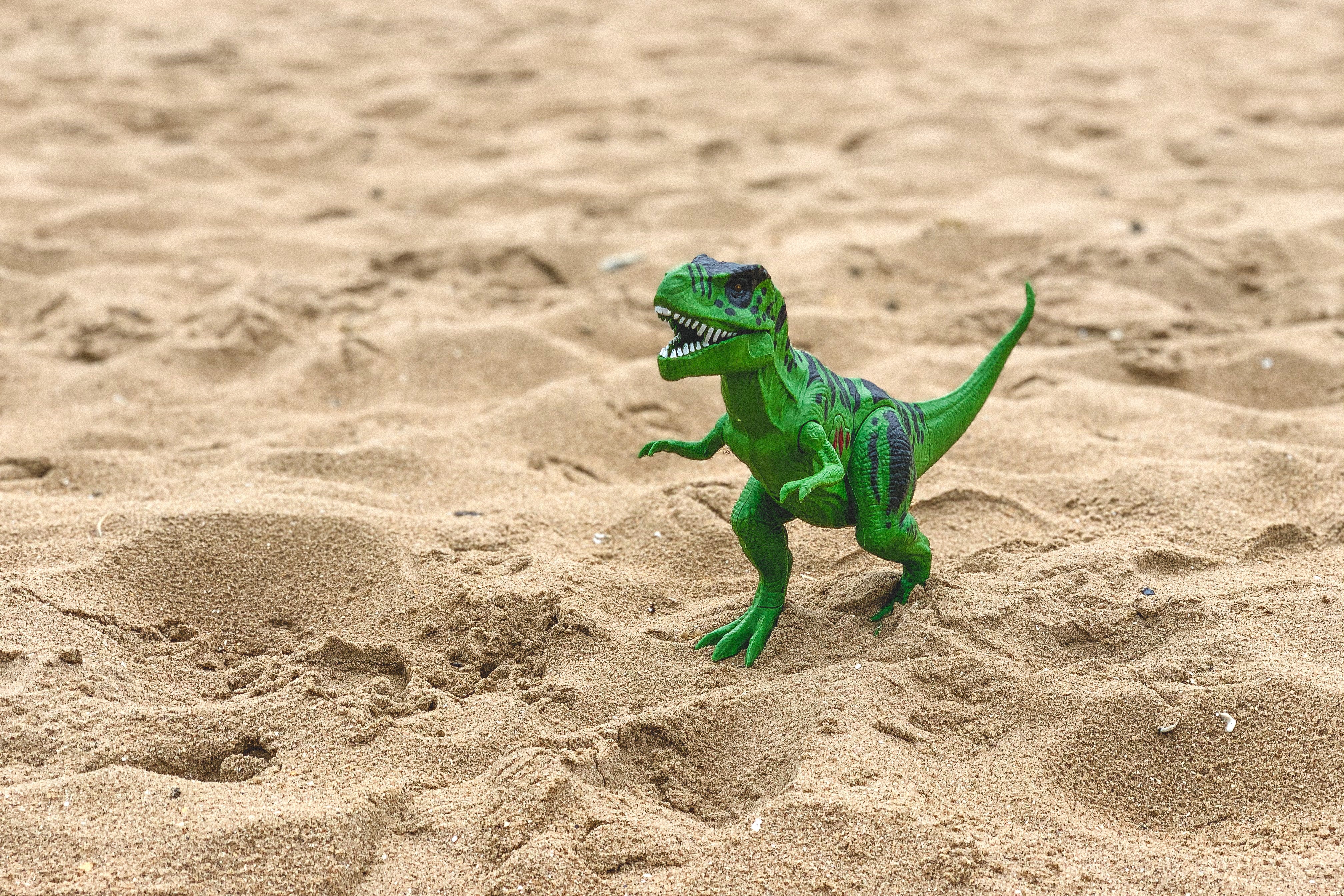 Learn Dinosaurs in Spanish - with Free Printable – Habbi Habbi